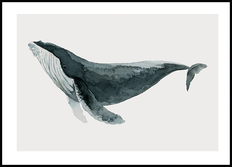 Aquarel Walvis Poster | Posterbox