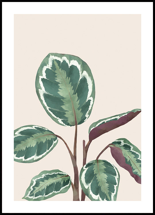 Poster met bonte groene en paarse planten | Posterbox